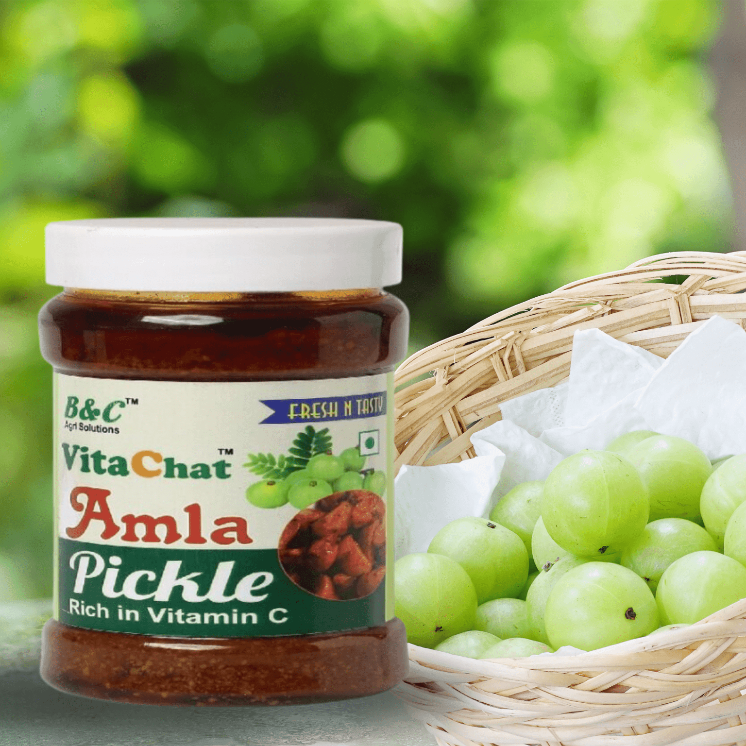 B & C Agri Solutions Fresh n Tasty Amla Pickle Rich in Vitamin C ...