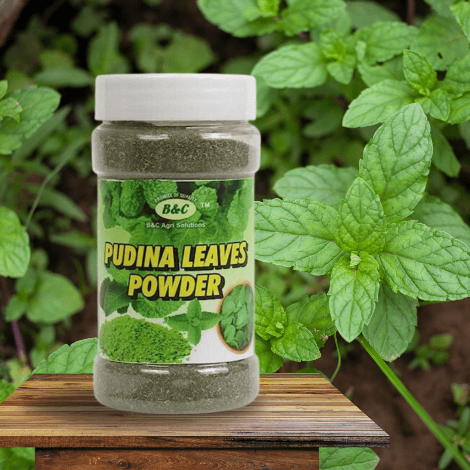 Buy Fresh Mint Leaves Powder Online | Dry Mentha Pudina Powder ...